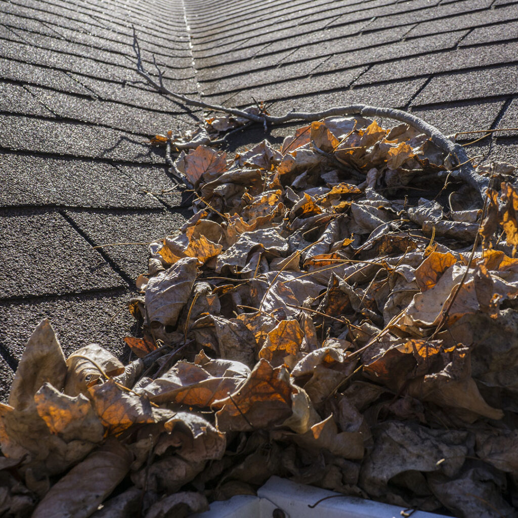 The Impact of Weather on Your Roof - Strength Roofing & Siding